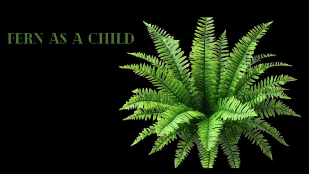Fern as a Child: A Journey Through Literature and Nature