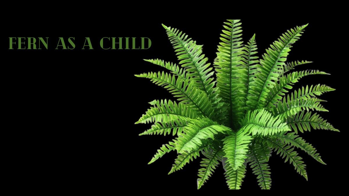Fern as a Child: A Journey Through Literature and Nature